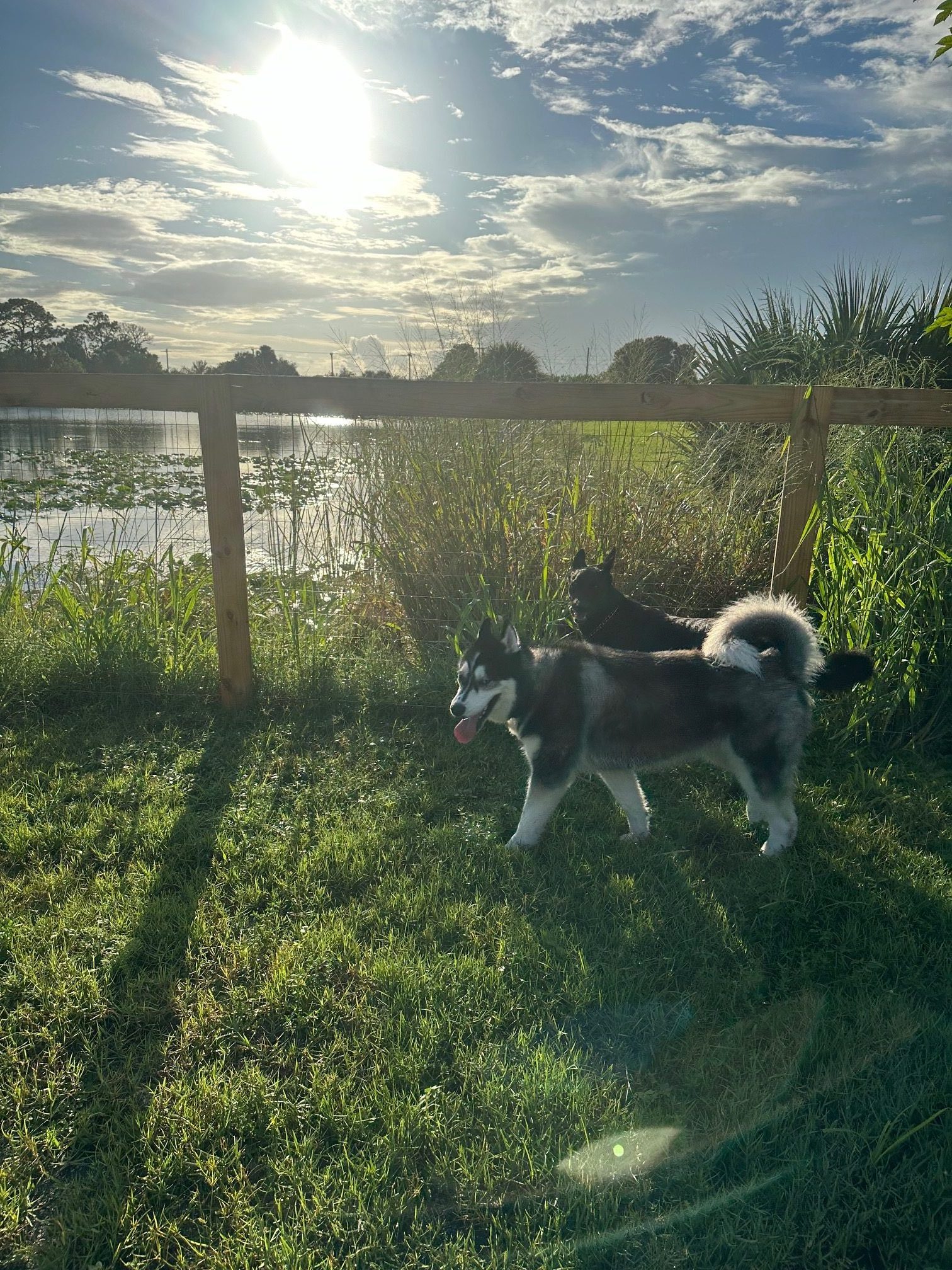 Gallery – Luca Lodge